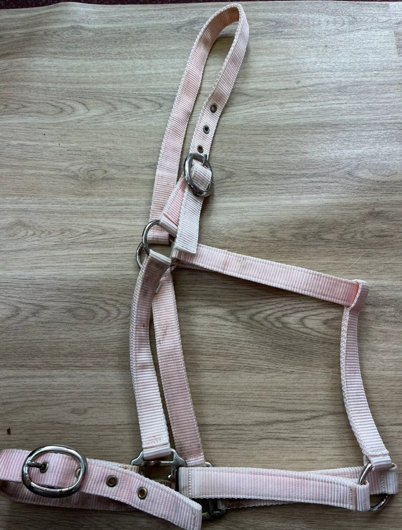 Full Size Headcollar #5 – Nag Mad Equestrian
