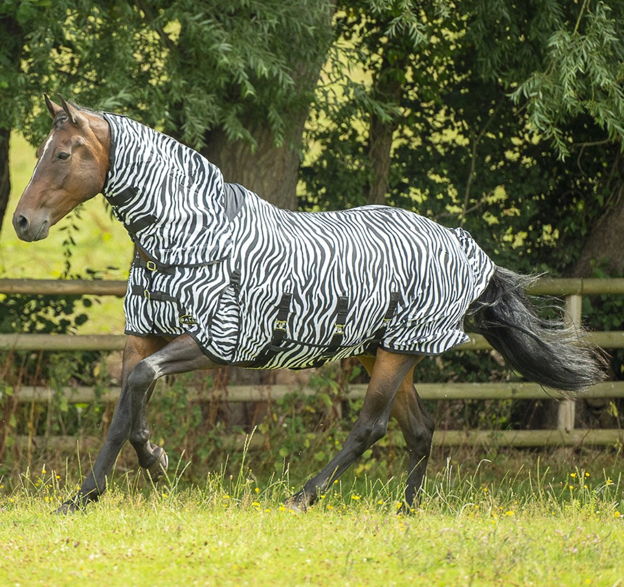 Gallop Zebra Fly Combo Rug – Nag Mad Equestrian