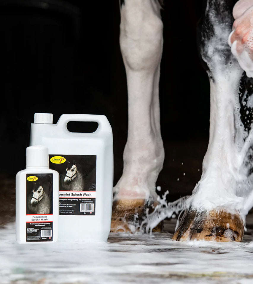 Smart Grooming Splosh Wash – Nag Mad Equestrian